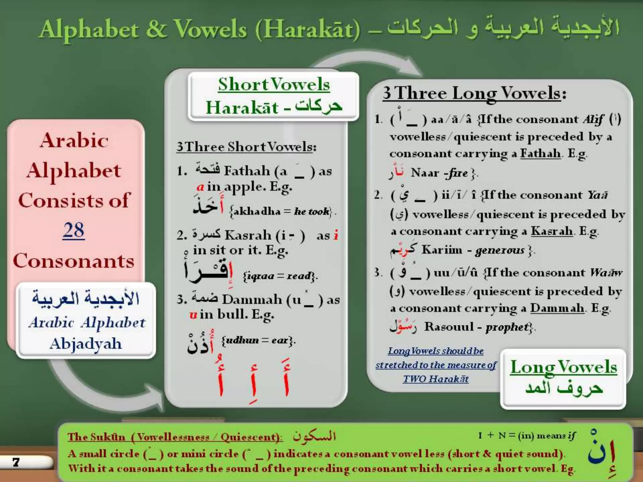 learn-Arabic-L0.8814124.powerpoint.pptx