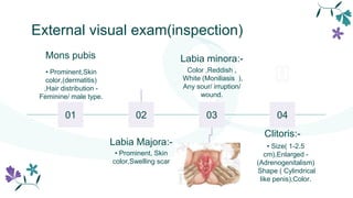 pap smear and pelvic examination presentation | PPTX