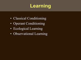 learn7Class.ppt