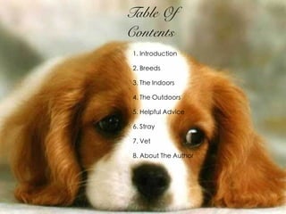 Learn all about dogs by Maddie | PDF