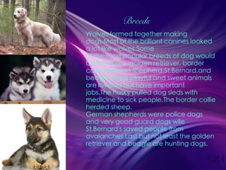 Learn all about dogs by Maddie | PDF