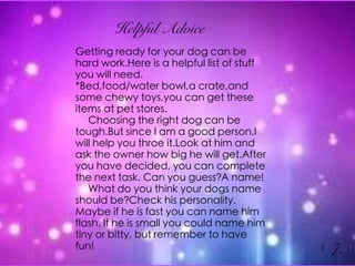 Learn all about dogs by Maddie | PDF