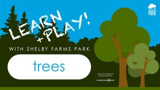 LearnAndPlay_Lesson_Trees.pdf