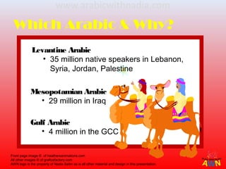 Learn Arabic in Brisbane with Nadia | PPT