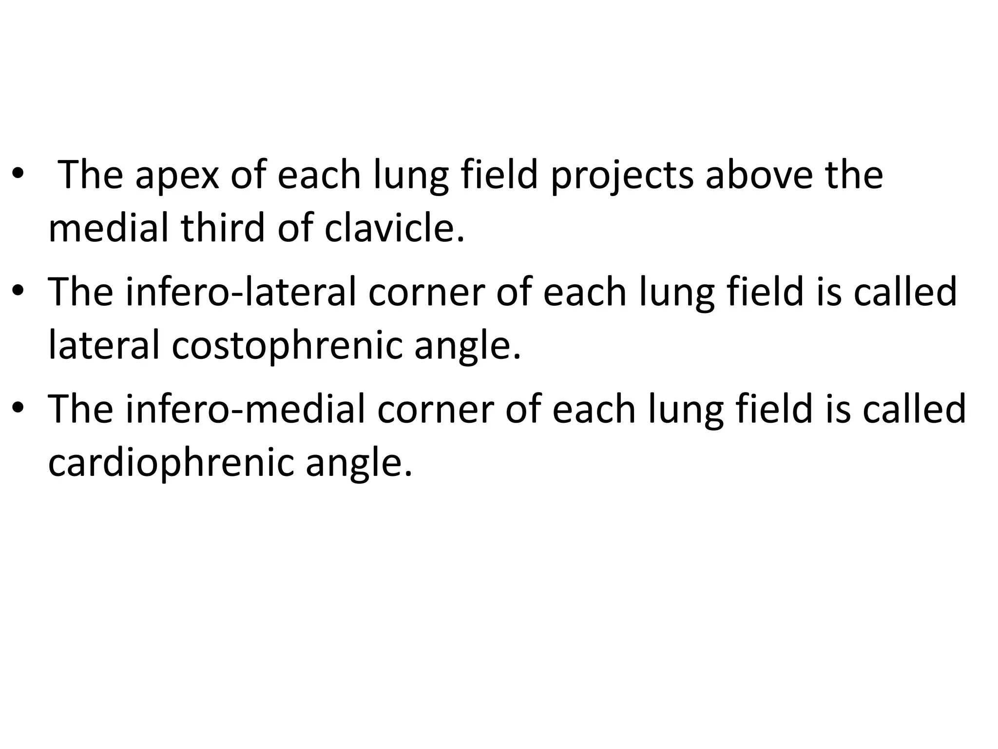 Learn Chest X-Ray With Its Normal Positioning & Radio-Anatomy | PPTX