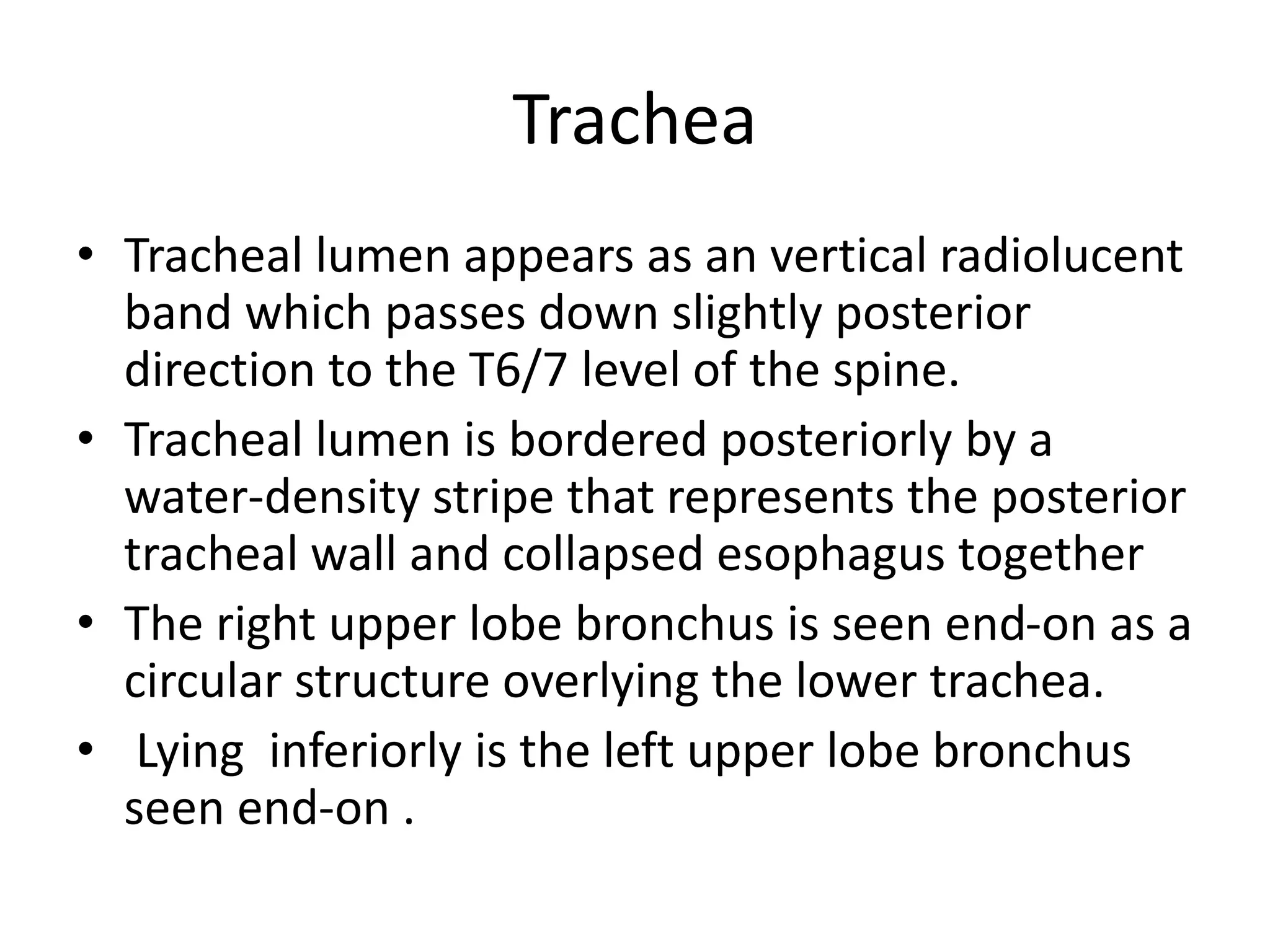 Learn Chest X-Ray With Its Normal Positioning & Radio-Anatomy | PPTX
