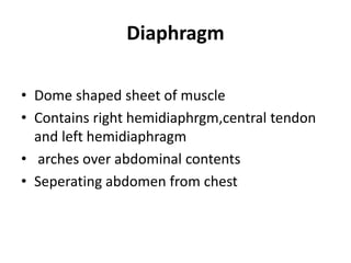 Learn Chest X-Ray With Its Normal Positioning & Radio-Anatomy | PPTX