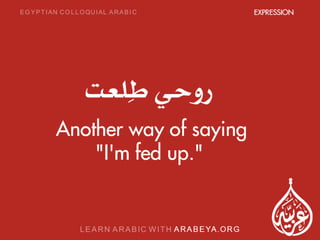 Learn common Egyptian Colloquial Arabic expreesions with Arabeya and ...