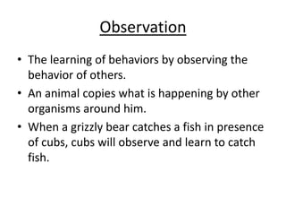 Learned behavior in animals | PPTX