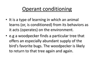 Learned behavior in animals | PPTX