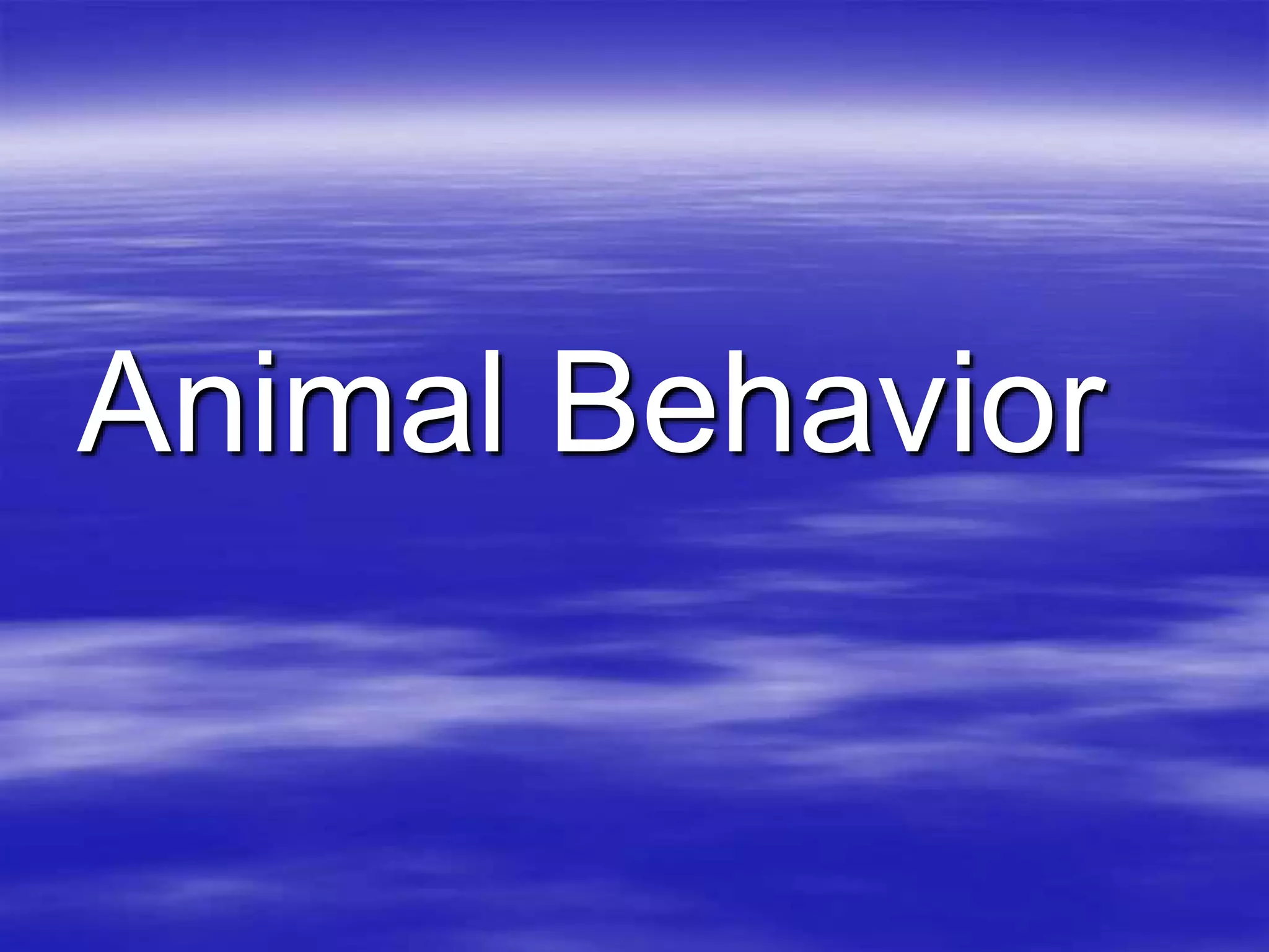 Learned Behaviors.ppt