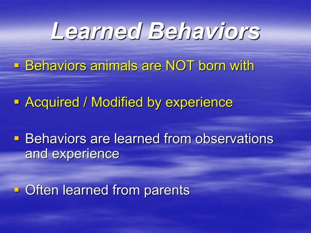 Learned Behaviors.ppt | Dogs | Pets