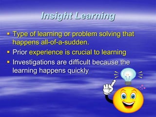 Learned Behaviors.ppt