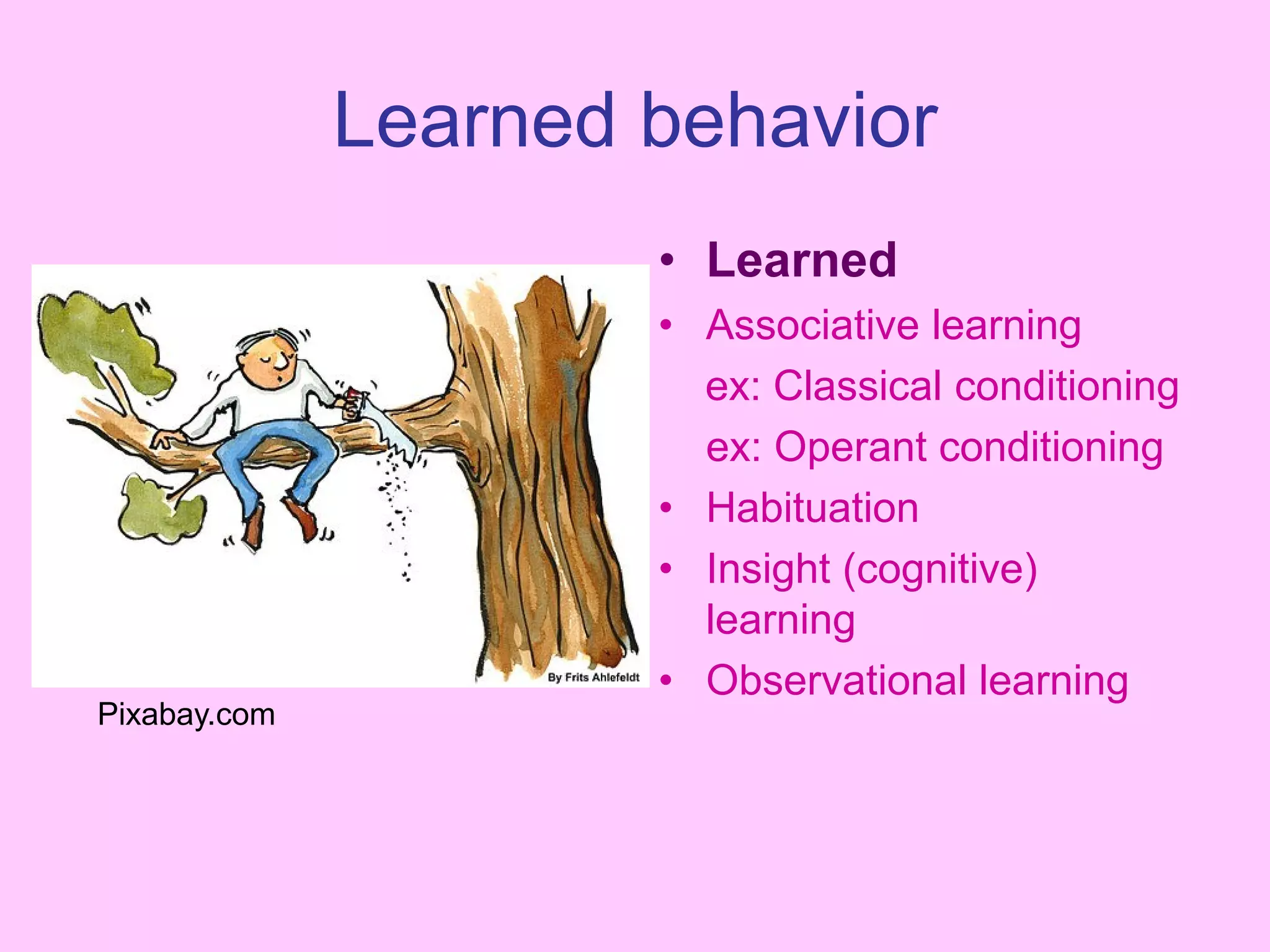 Learned behvaiors | PDF