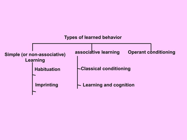 Learned behvaiors | PPT