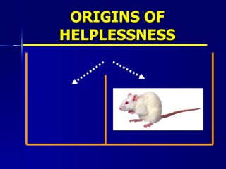 Learned helplessness &_control | PPT