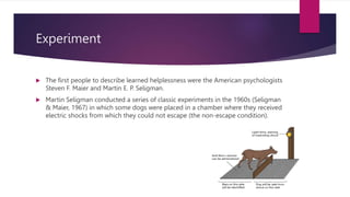 learned helplessness, optimism and resilience | PPTX