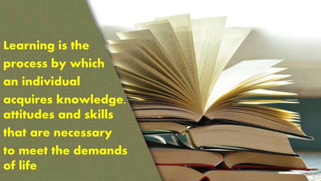 Learner centered principles | PPT