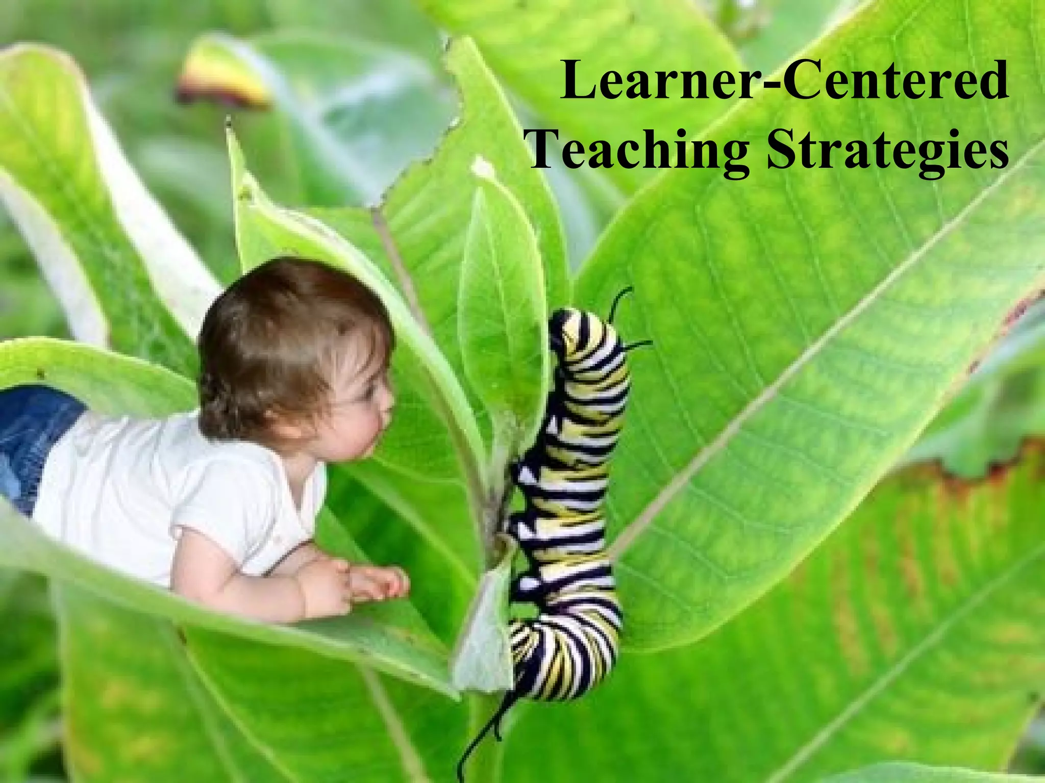 Learner Centered Teaching Strategies Ppt