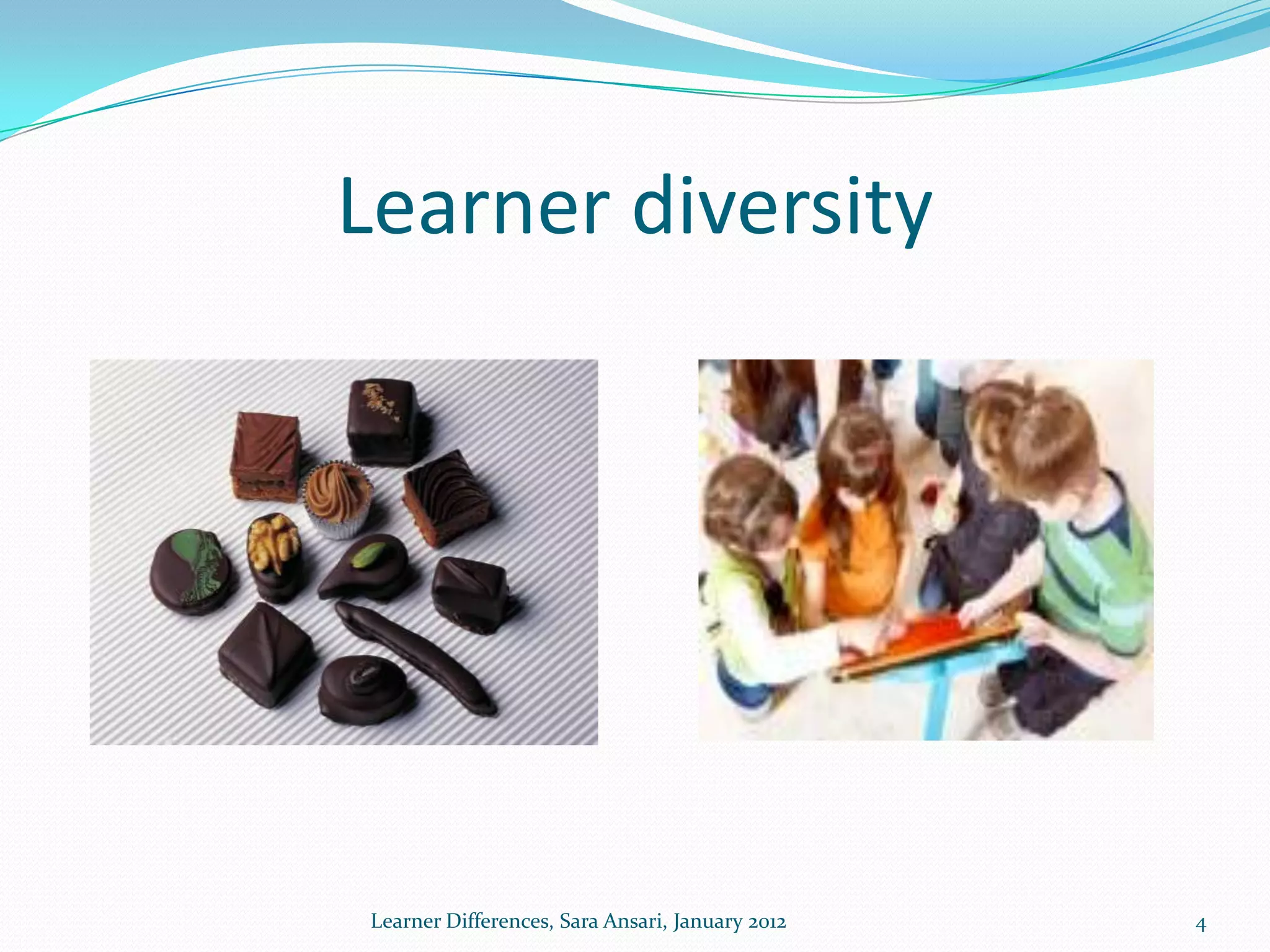Learner Differences | PPT