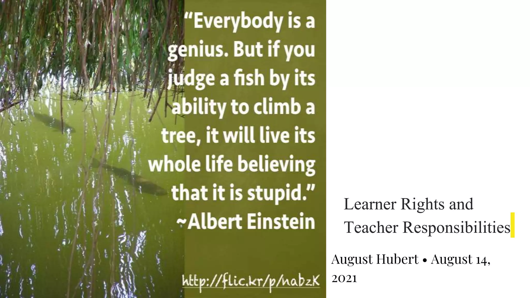 Learner rights and teacher responsibilities | PPT