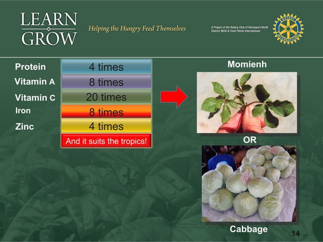 Learn Grow Feb2009 | PPT