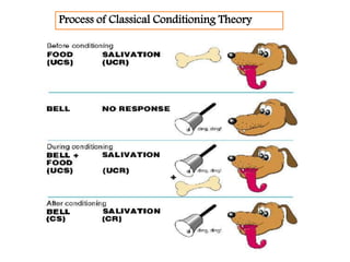 ORGANIZATIONAL BEHAVIOUR- Learning | PPTX