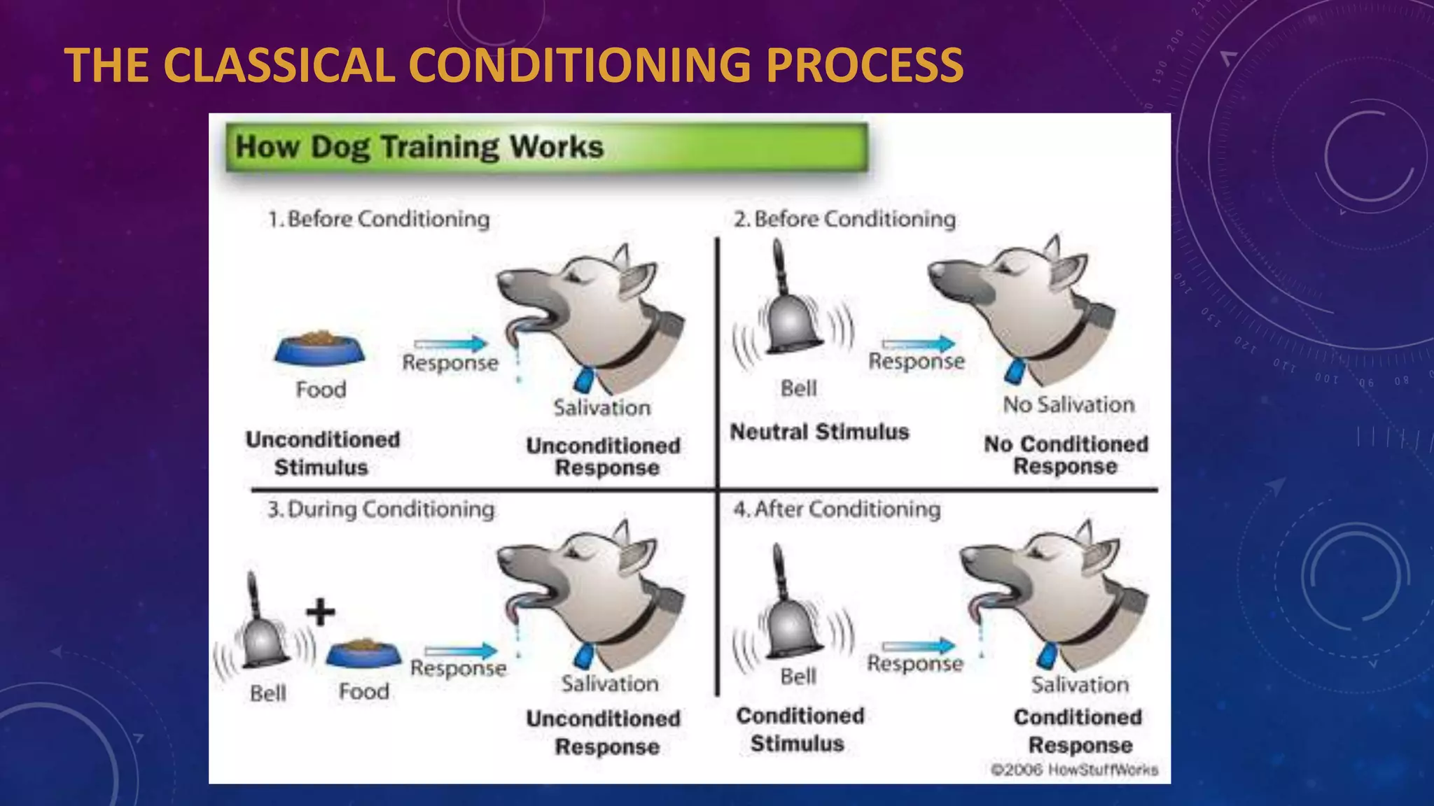 Psychology: Learning | PPTX