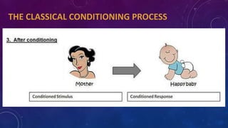 Psychology: Learning | PPT