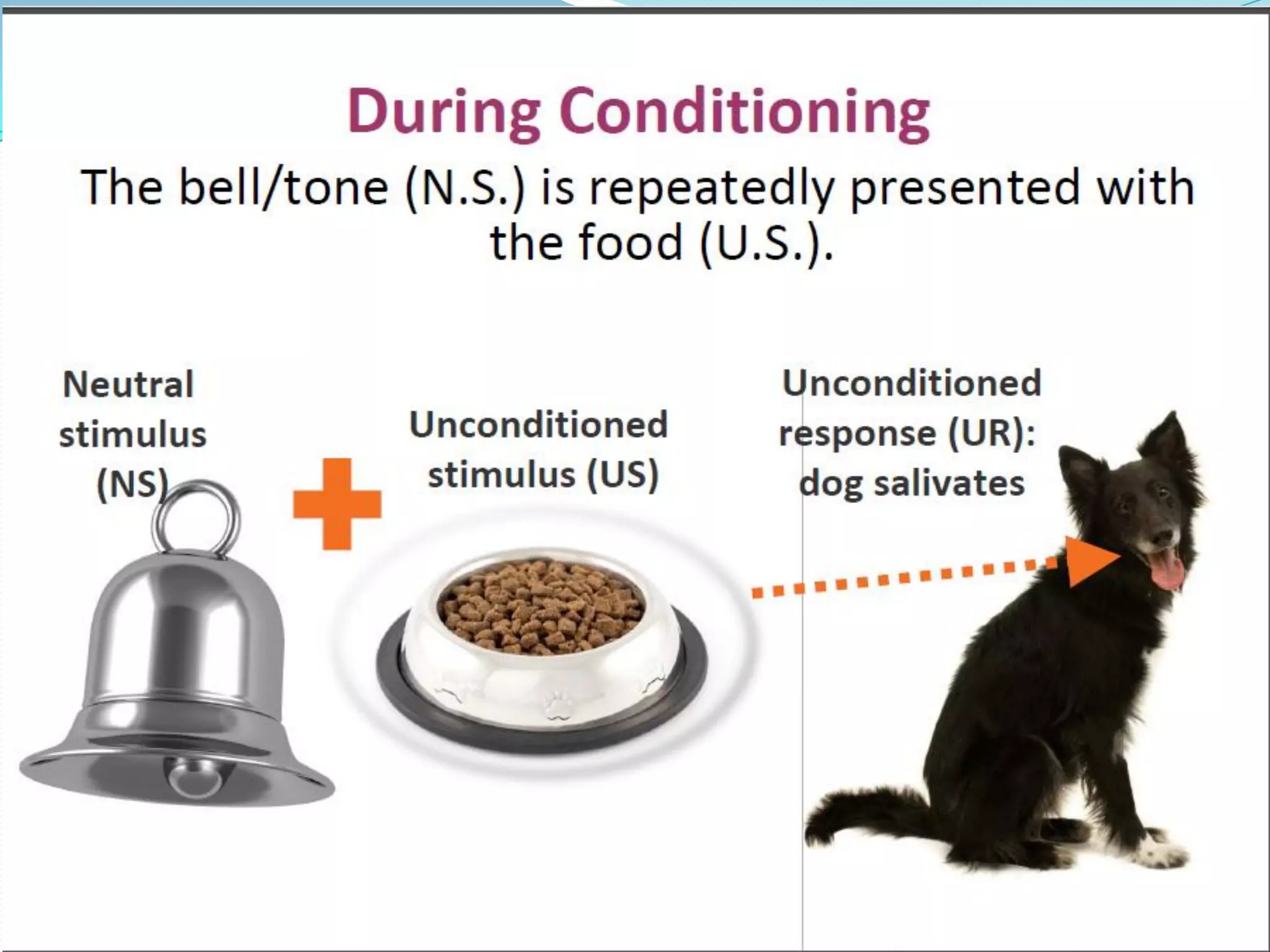 Unit 3 Cognitive Process / Learning | PDF