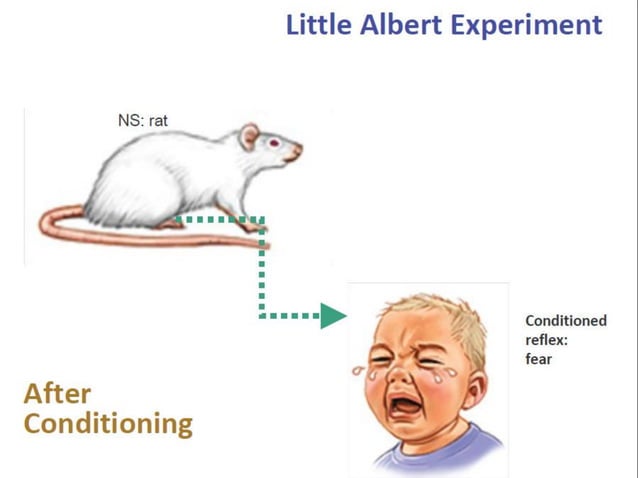 Unit 3 Cognitive Process / Learning | PDF
