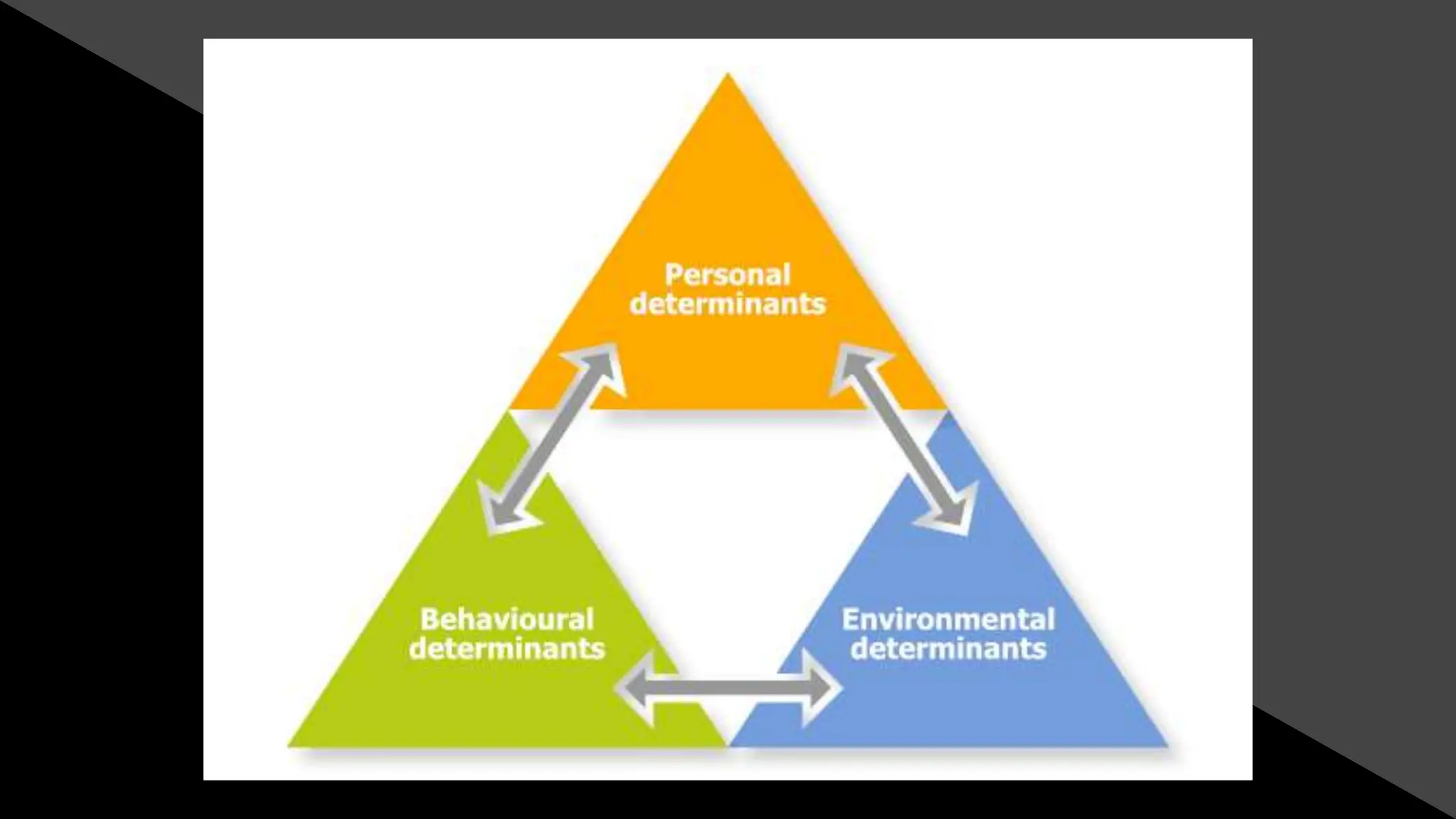 Learning in Psychology explained .pptx | Education
