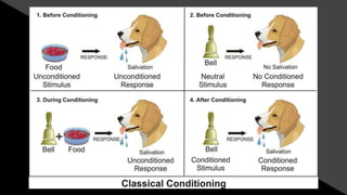 Learning in Psychology explained .pptx