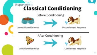 Learning- Classical Conditioning.pptx