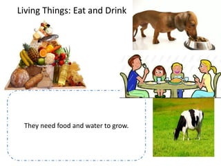 Learning about living things | PPT