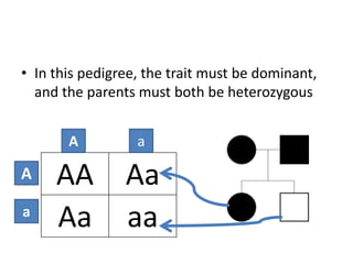 Learning about pedigrees | PPTX