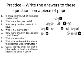 Learning about pedigrees | PPTX