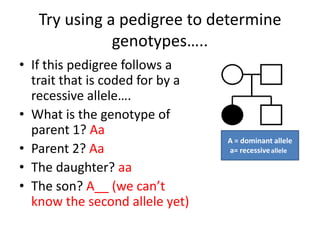 Learning about pedigrees | PPTX