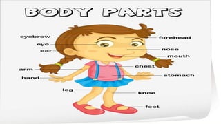LEARNING ABOUT YOUR BODY G1 (2).pptx