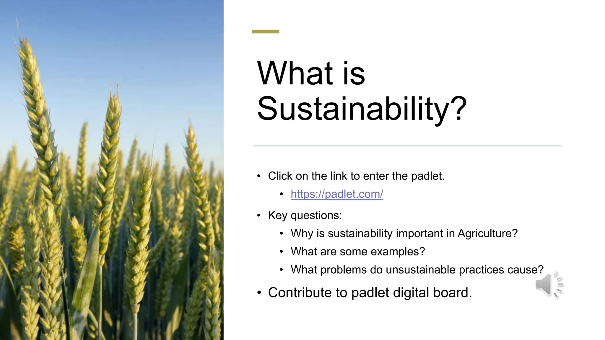 EDM8012 Sustainability Learning Activity.pptx