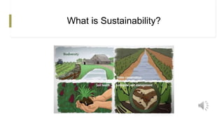 EDM8012 Sustainability Learning Activity.pptx