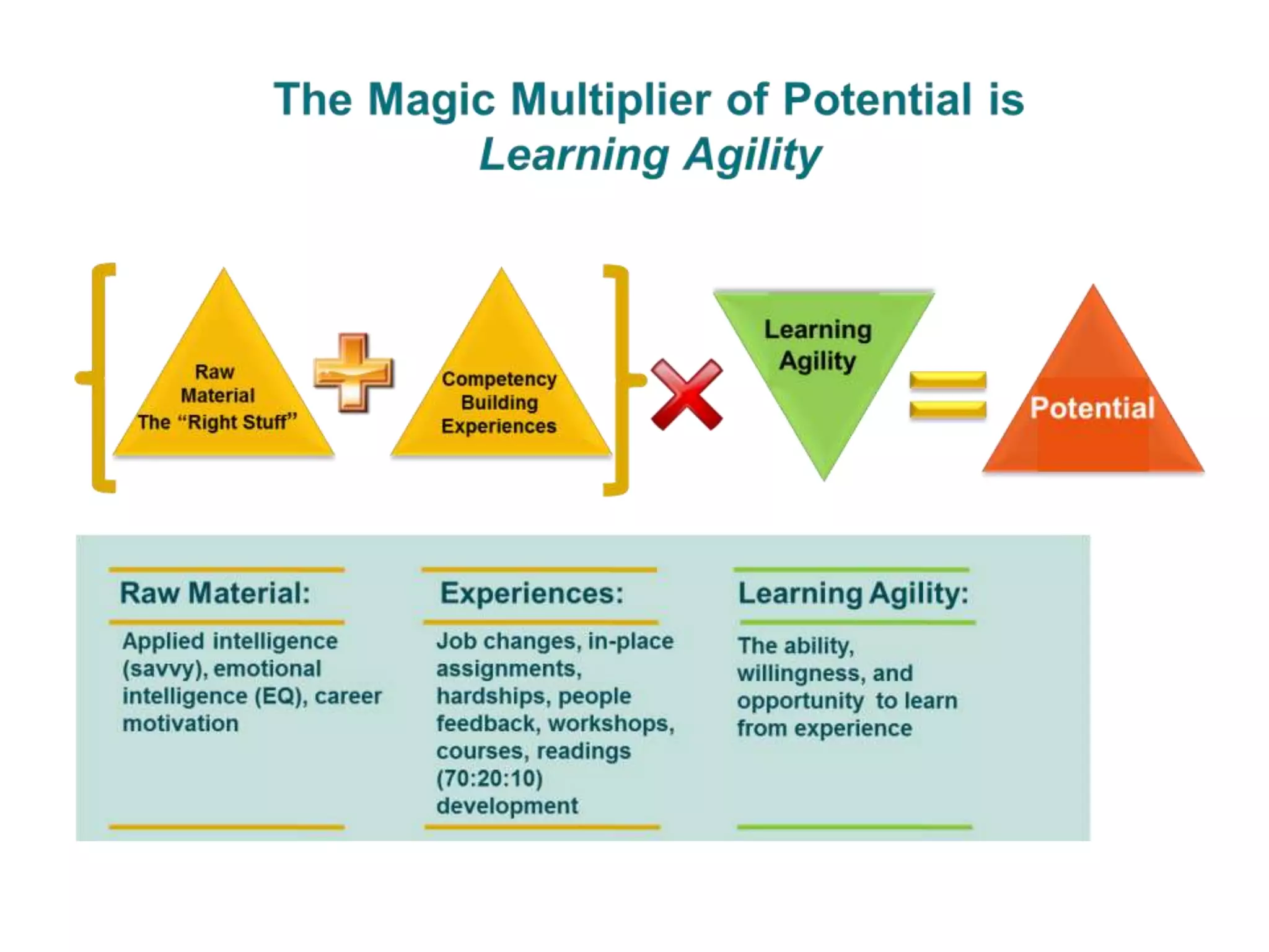 Learning agility - the magic multiplier | PPTX