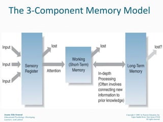 Learning and cognitive processes.ppt Educational Psychology | PPT