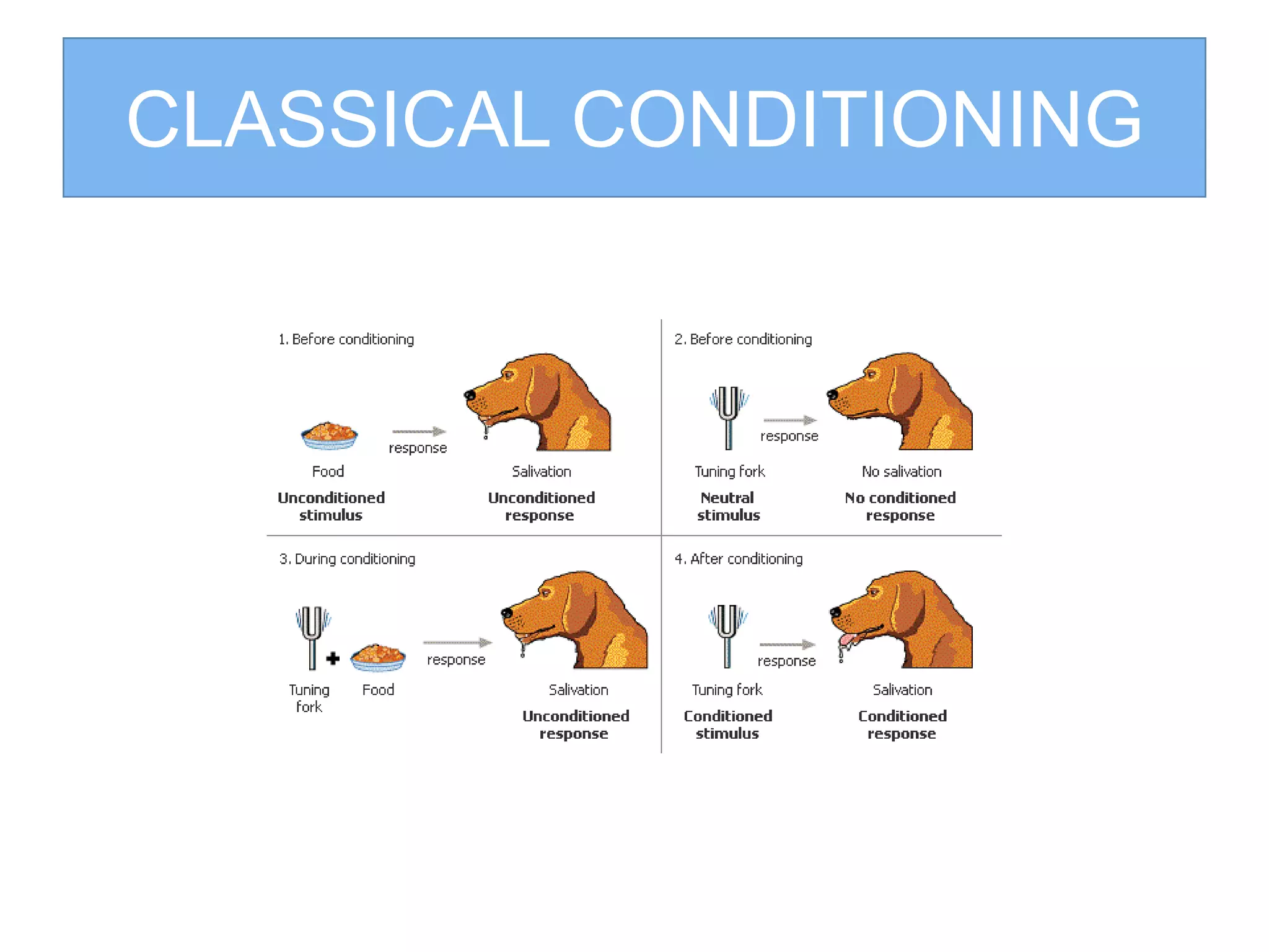 learning and conditioning.pptx