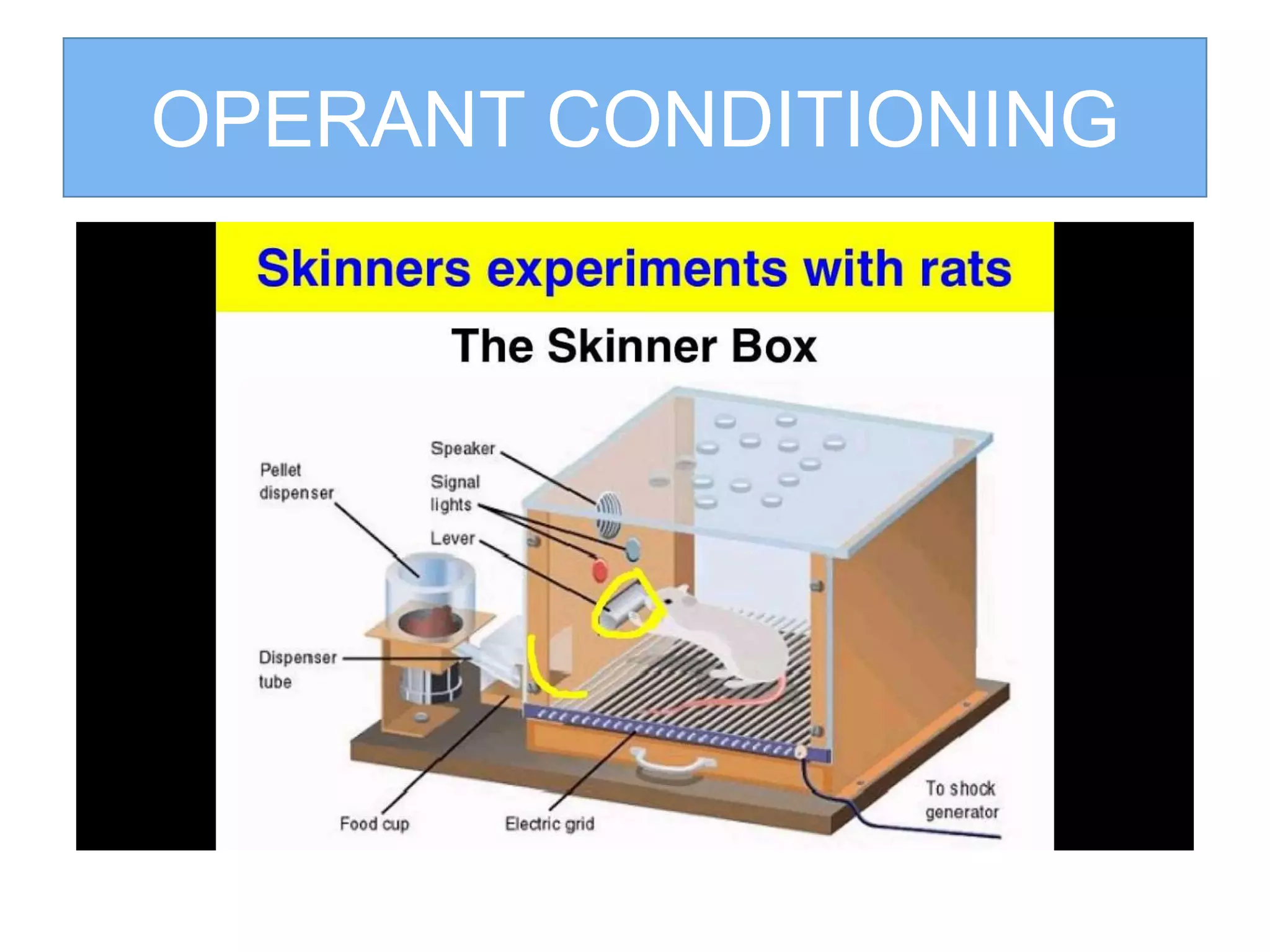 learning and conditioning.pptx