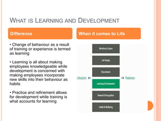 Learning and development | PPTX