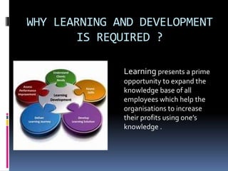Learning and development industry | PPT