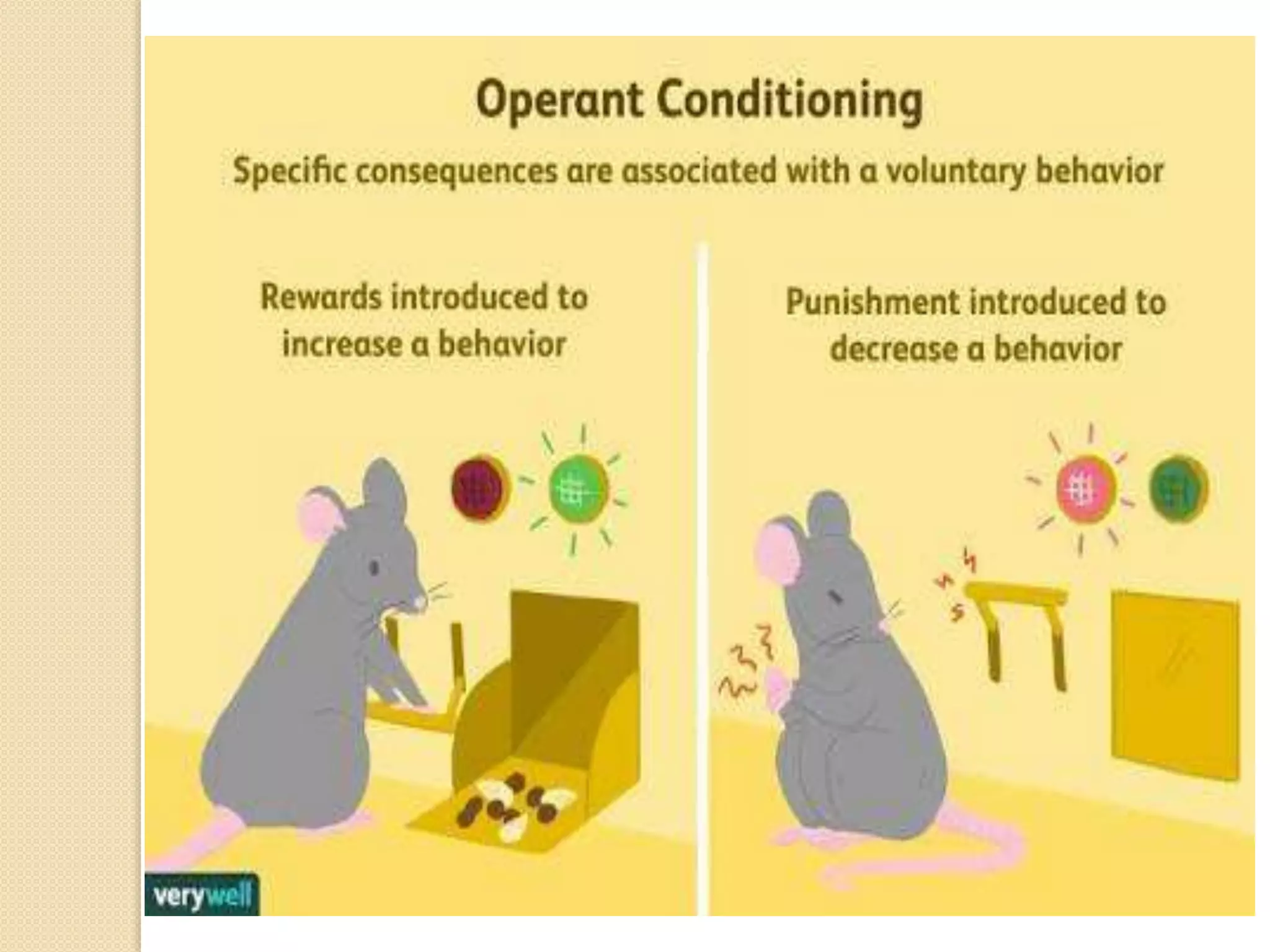 Organizational Behavior: Learning and its theories | PPT