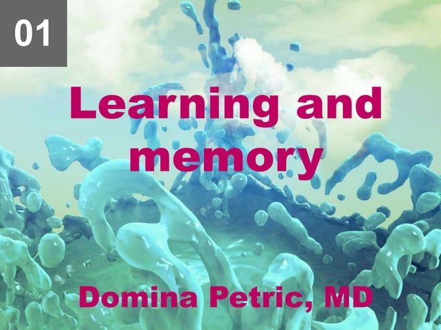 Learning and memory | PPT