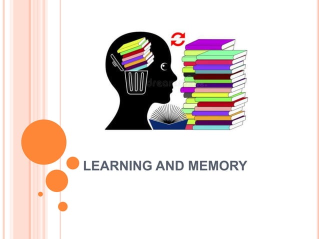 Learning and memory | PPT